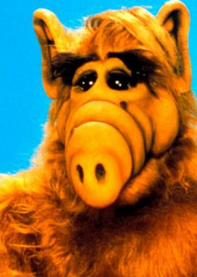 ¿Te acuerdas de la "hermana" de ALF? Mira cómo luce a sus 48 años ...