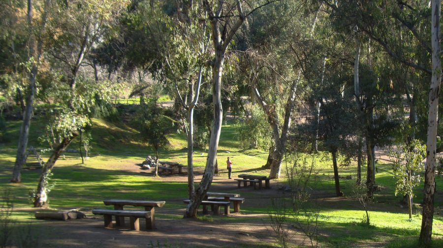 Así será la reapertura del Parque Metropolitano de Santiago ...