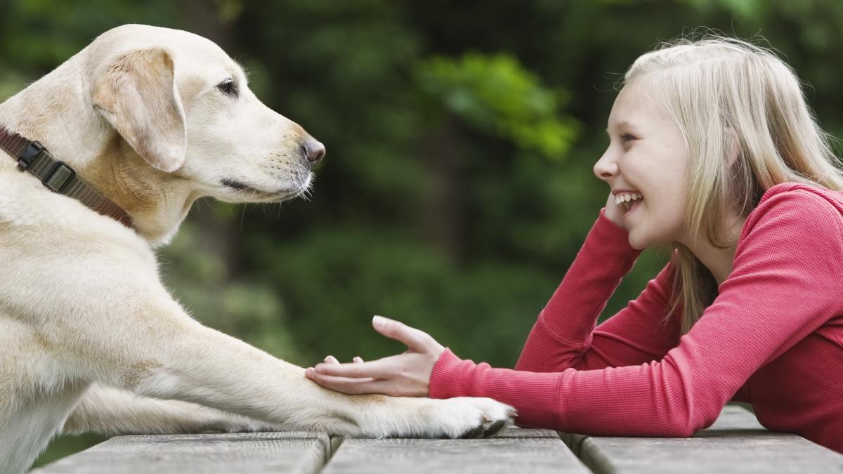 Increíble: Buscan crear traductor universal para animales — RadioActiva ...