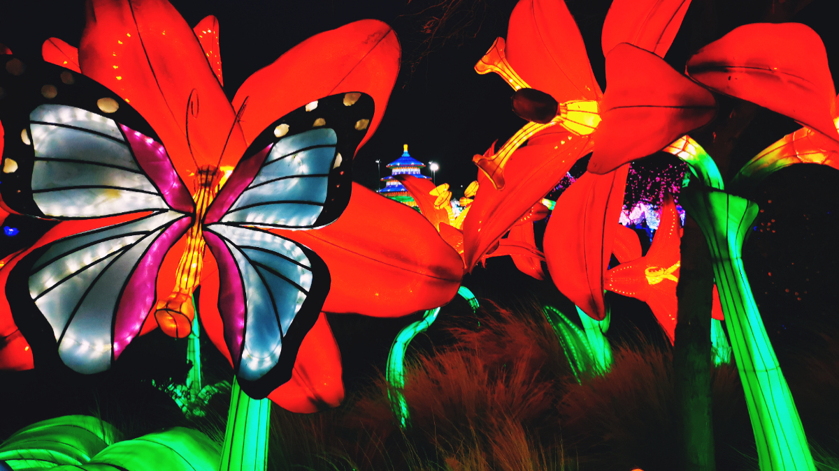 Fesiluz 2023: ¿Donde, cuándo y cómo comprar? — RadioActiva 92.5