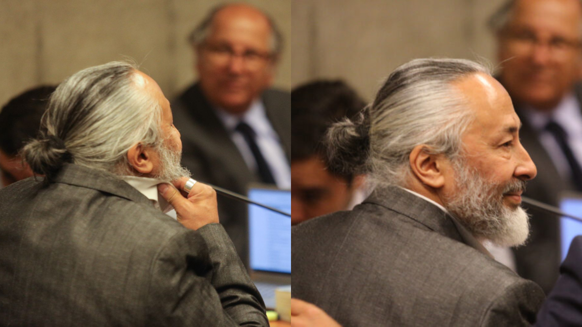 "Hay que hacerse el hueón": La increíble advertencia de Tonka Tomicic a ...